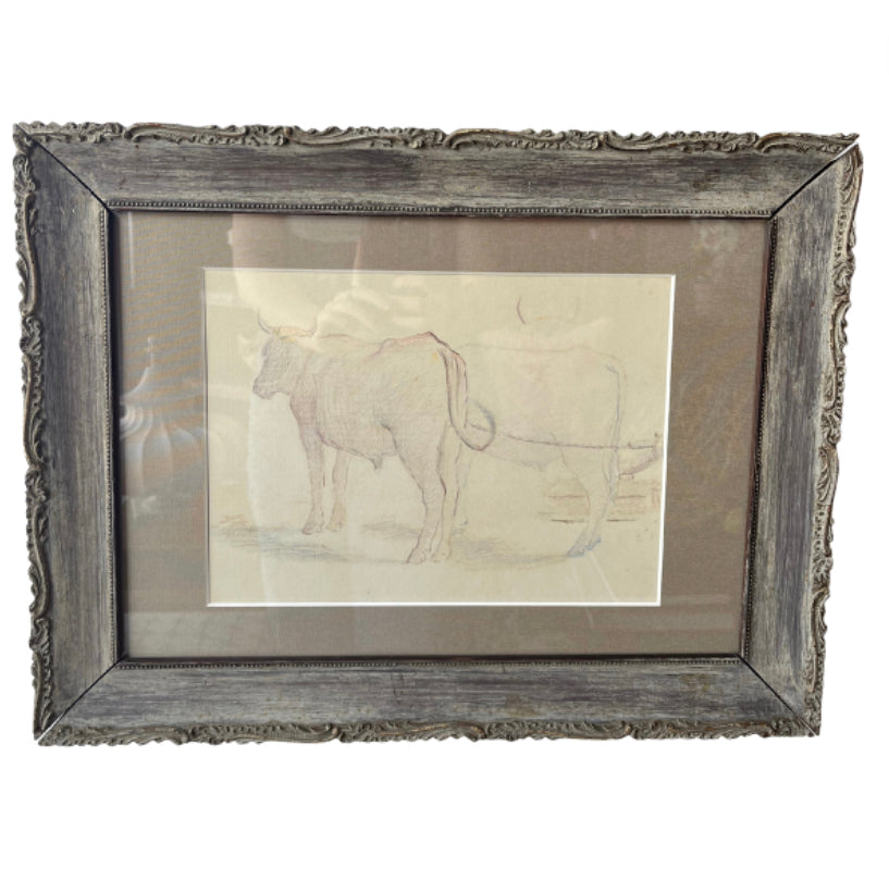 Tan bull sketch – Rogala Design